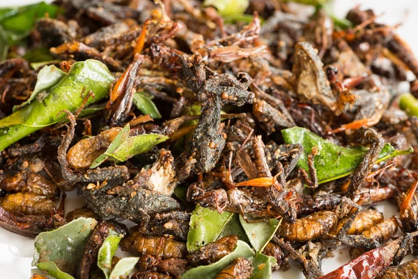 Fried edible insects mix with green lime leaves - Stock Image - Everypixel
