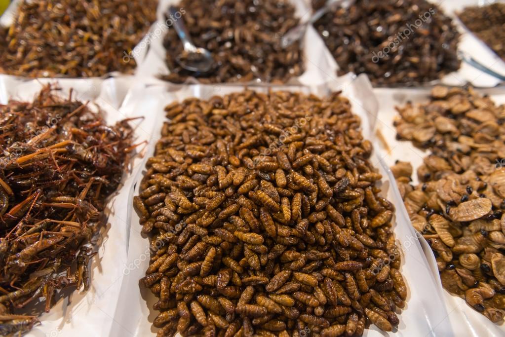 Cooked, Edible Insects and Grubs for Human Consumption at a Publ Stock ...