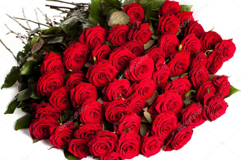 Many red roses in shallow DOF Stock Photo by ©InvisibleViva 67491963