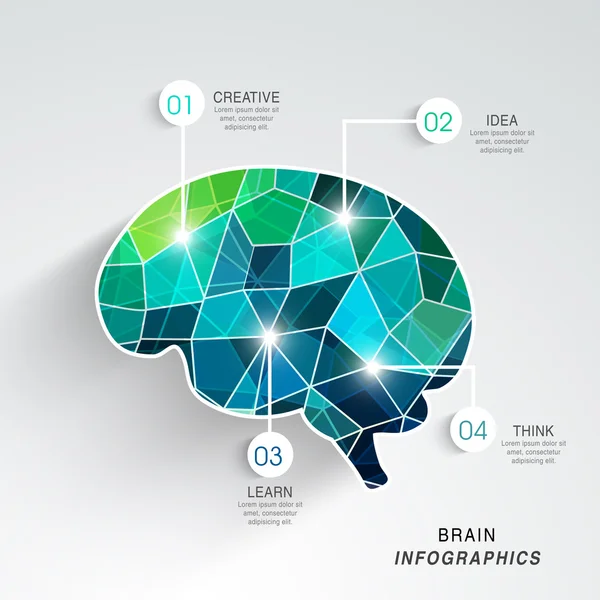 Brain infographic Stock Vectors, Royalty Free Brain infographic ...
