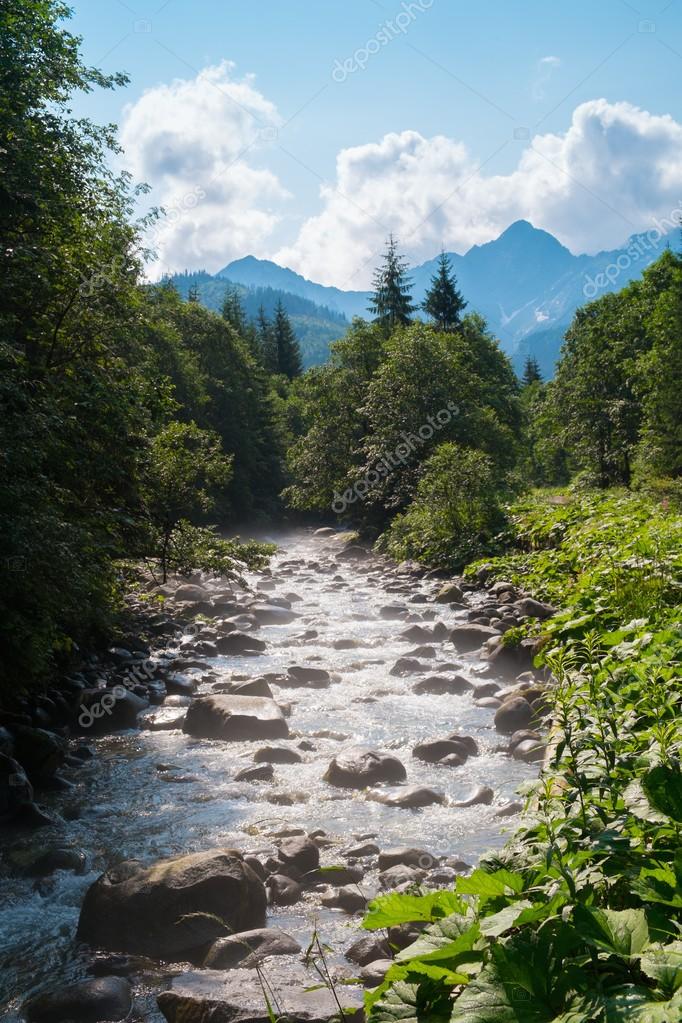 Fast river in a mountain forest Stock Photo by ©nejron 52445445