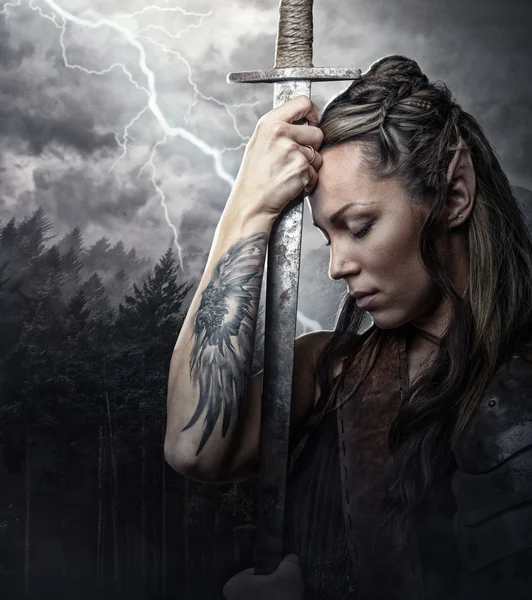 Elf with sword Stock Photos, Royalty Free Elf with sword Images ...