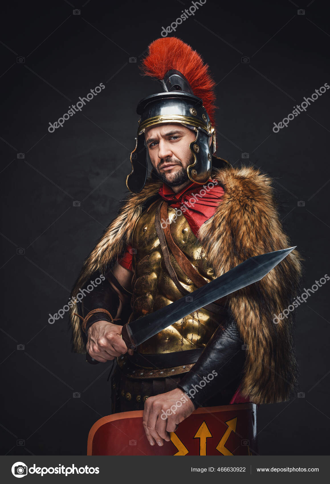 Roman warrior with sword in armor with and fur — Stock Photo © fxquadro ...