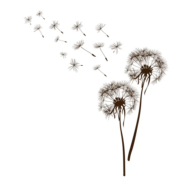 Blow dandelion Vector Art Stock Images | Depositphotos