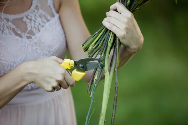 Cutting flower stems Stock Photos, Royalty Free Cutting flower stems ...