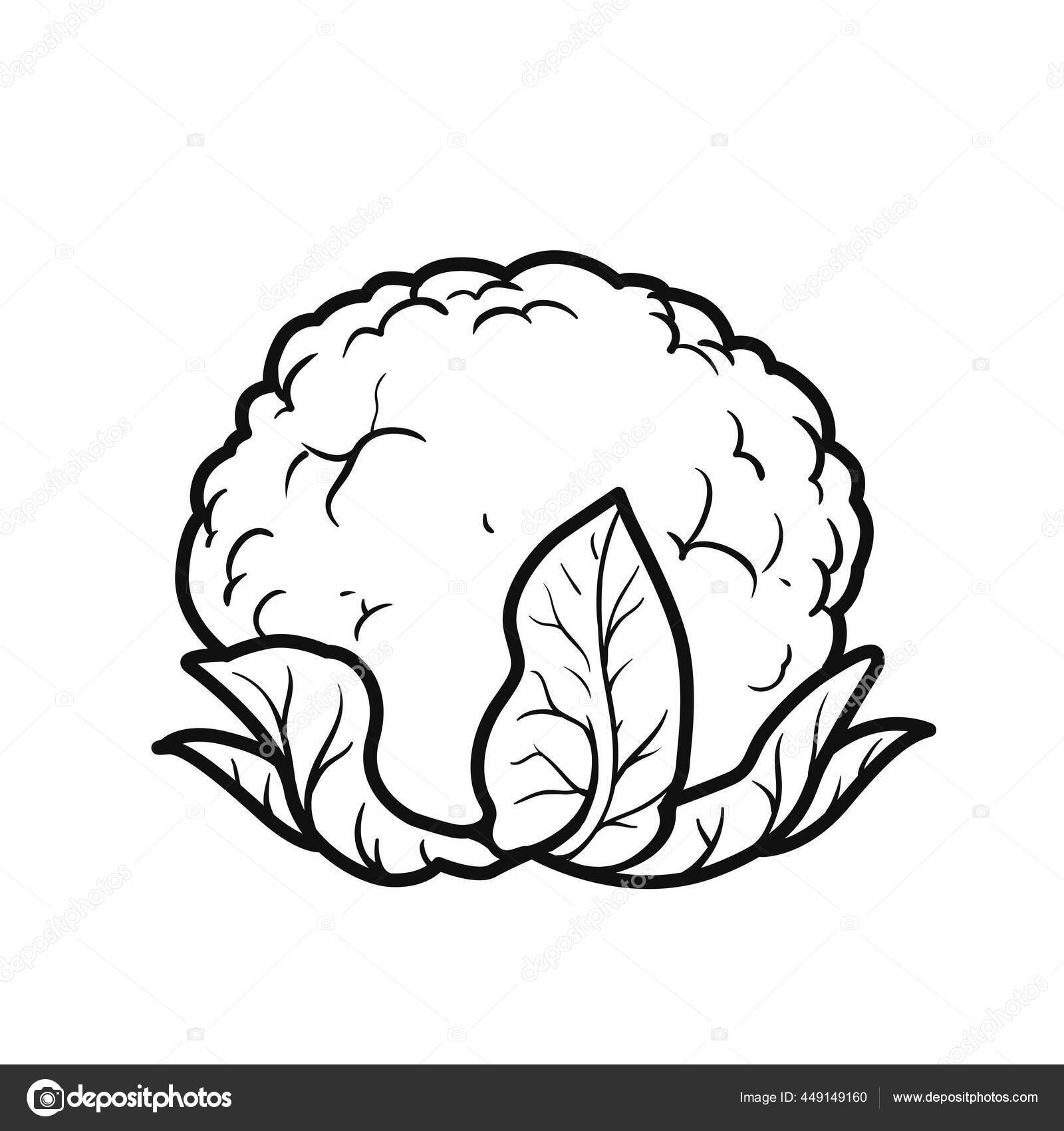 Cauliflower Line Drawing