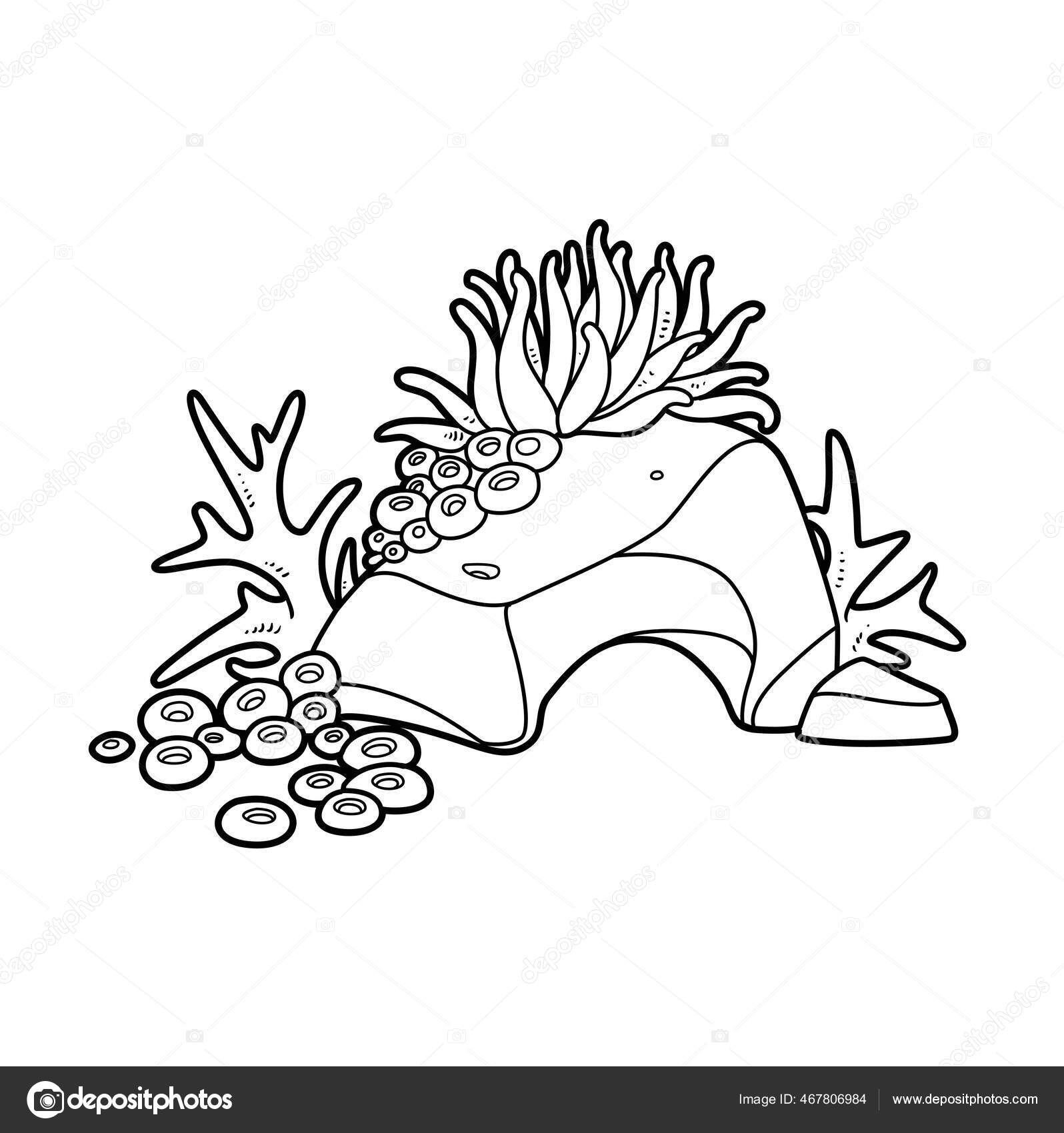 Corals Polyps Growing Stone Coloring Book Linear Drawing Isolated White ...