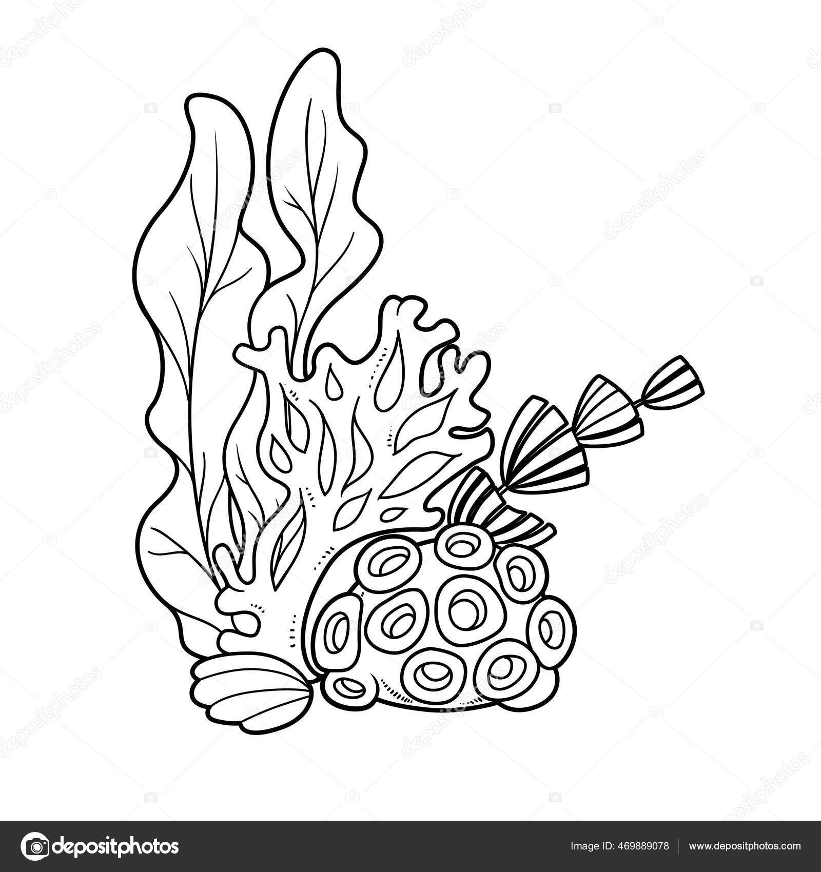 Dessin Animé Objets Mer Avec Algues Corail Contour Pour Coloriage image ...