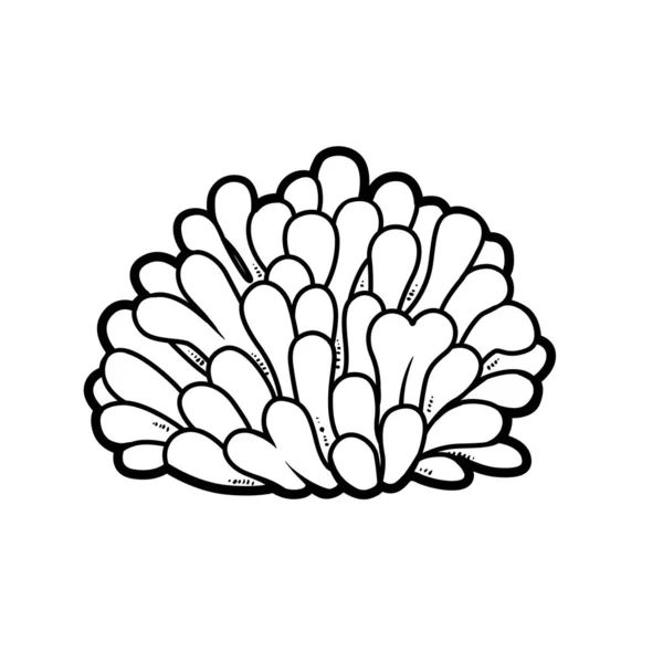Nautilus Shell Outlined Coloring Page Isolated White Background Stock ...