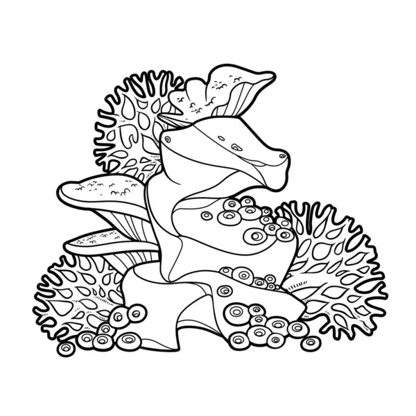 Anemones Coral Polyps Long Algae Grow Stone Coloring Book Linear Stock ...