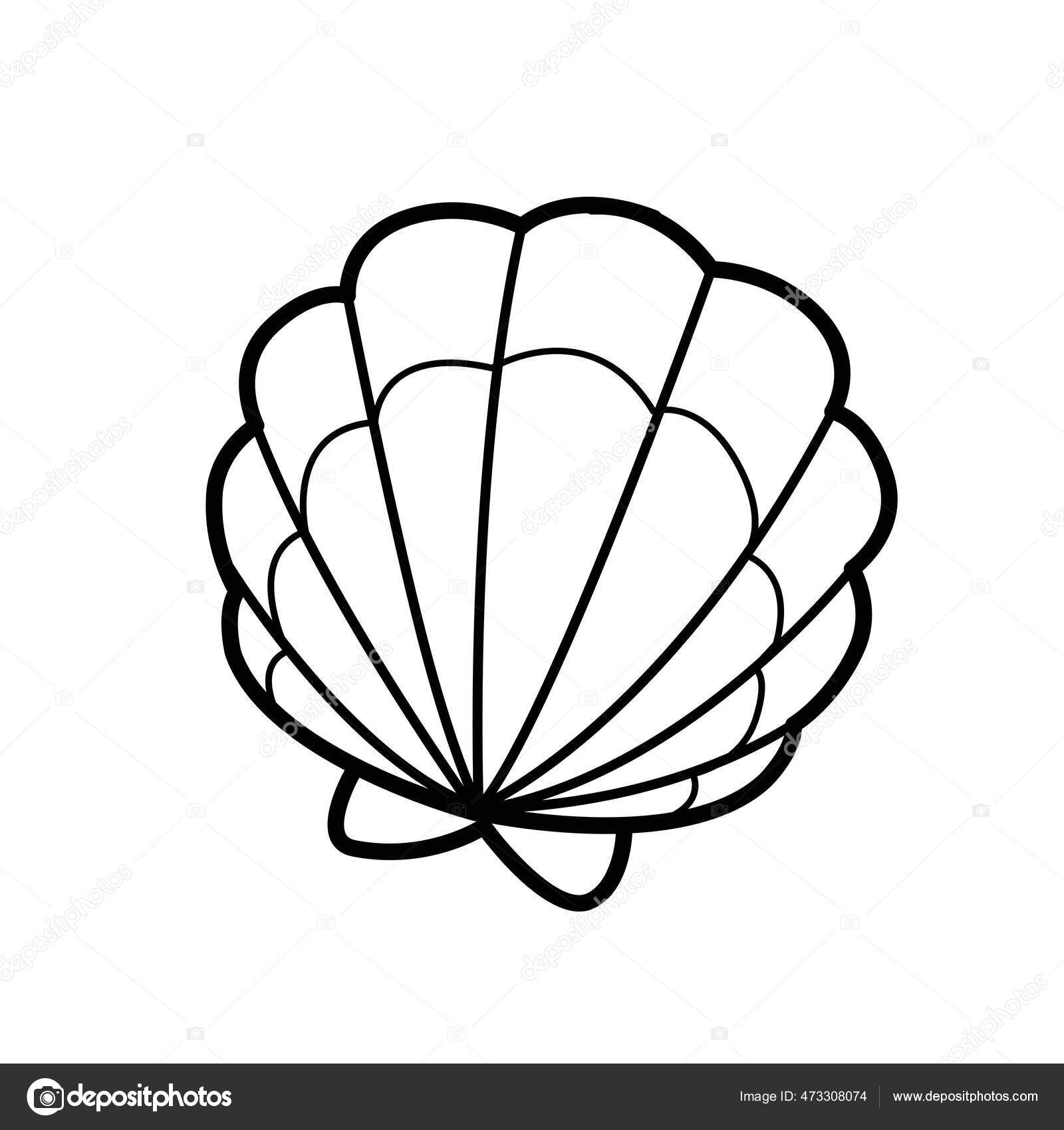 Concha Jakobsmuschel Vieira Colorear Malvorlage Conchiglia Ausdrucken ...