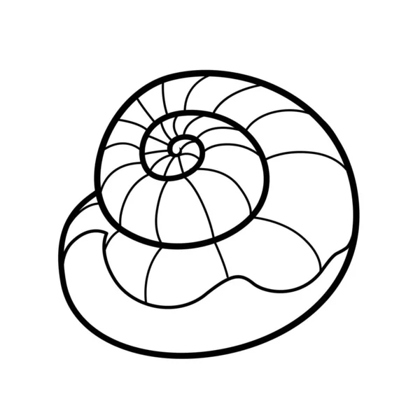 Miter Cone Shell Outlined Coloring Page Isolated White Background Stock ...