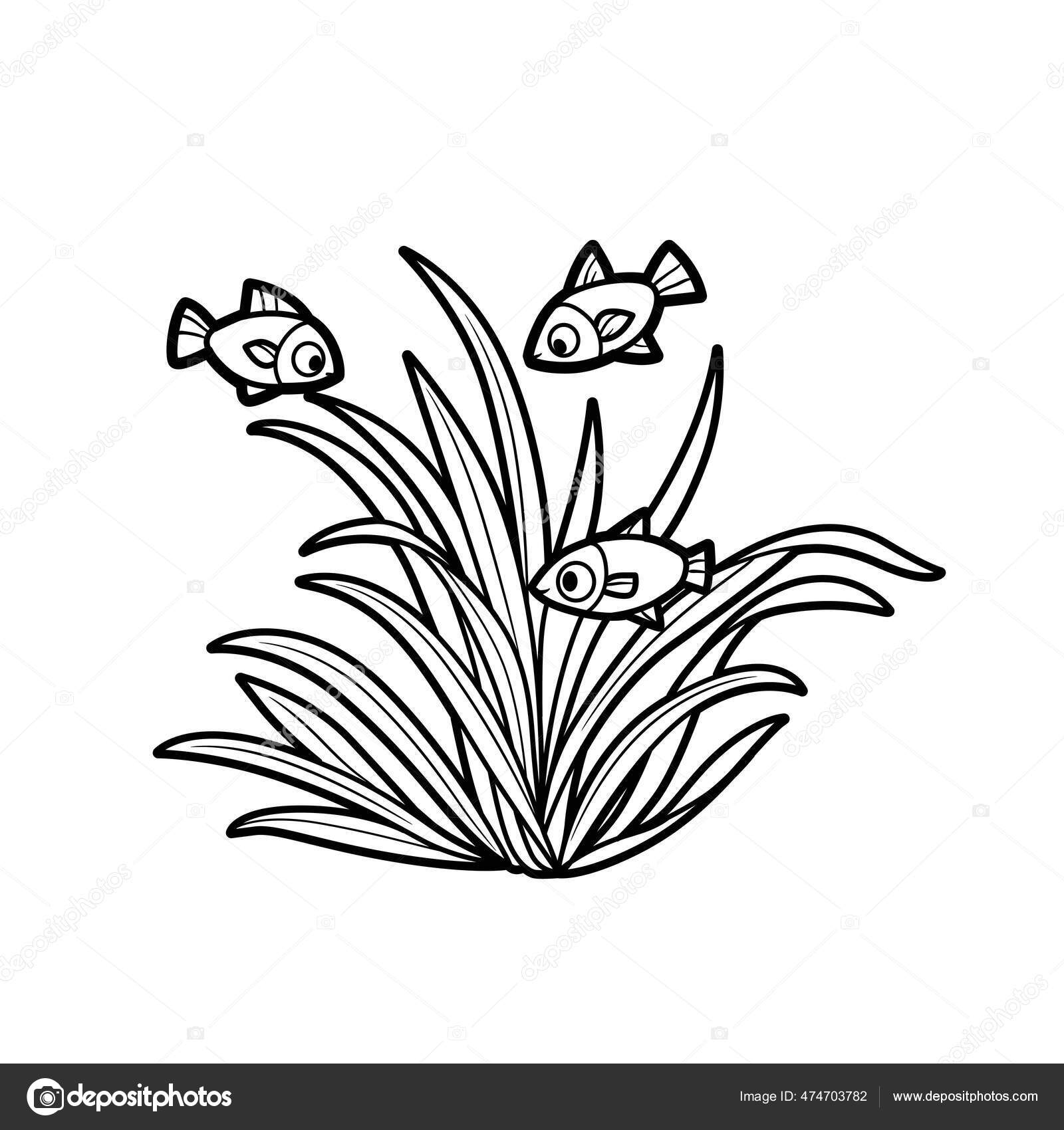 Fish Seaweed Coloring Book Linear Drawing Isolated White Background ...