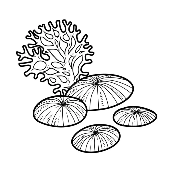 Nautilus Shell Outlined Coloring Page Isolated White Background Stock ...