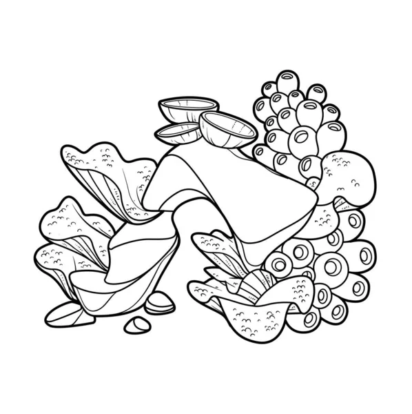 Corals Polyps Growing Stone Coloring Book Linear Drawing Isolated White ...