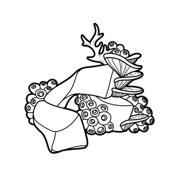 Corals Polyps Growing Stone Coloring Book Linear Drawing Isolated White ...