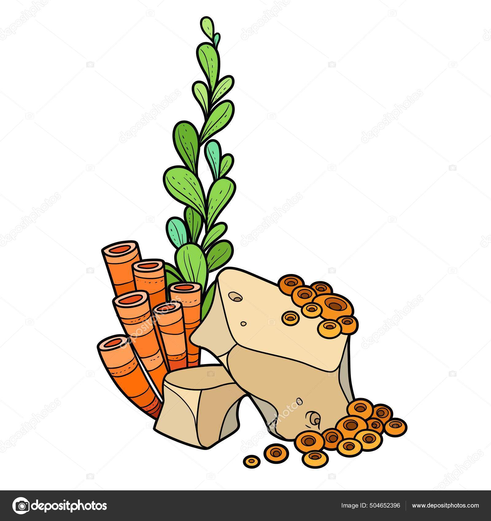 Algae Coloring Pages