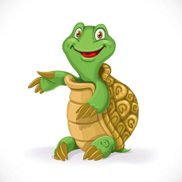 Animated Baby Turtle