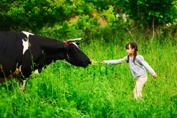 Child with cow Stock Photos, Royalty Free Child with cow Images ...