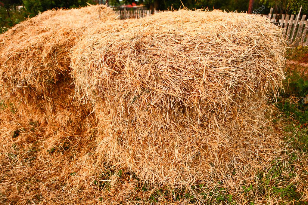 Haystack. — Stock Photo © EdwardSV #84725590