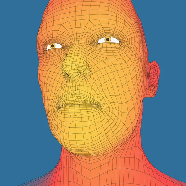 Head of the Person from a 3d Grid. Human Head Wire Model. Human Polygon ...
