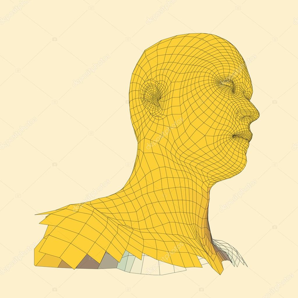 Head of the Person from a 3d Grid. Human Head Wire Model. Human Polygon ...