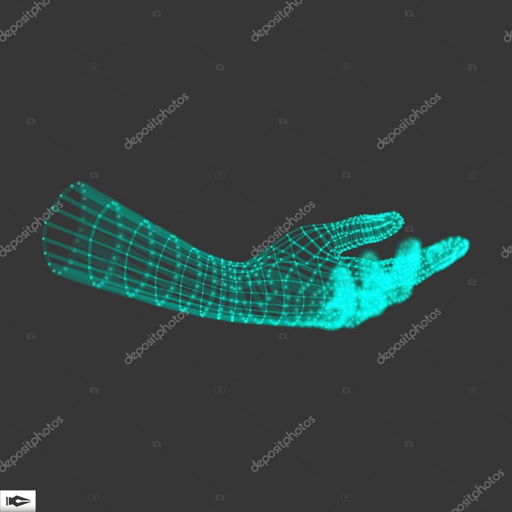Human Arm. Human Hand Model. Hand Scanning. 3d Covering Skin Stock ...