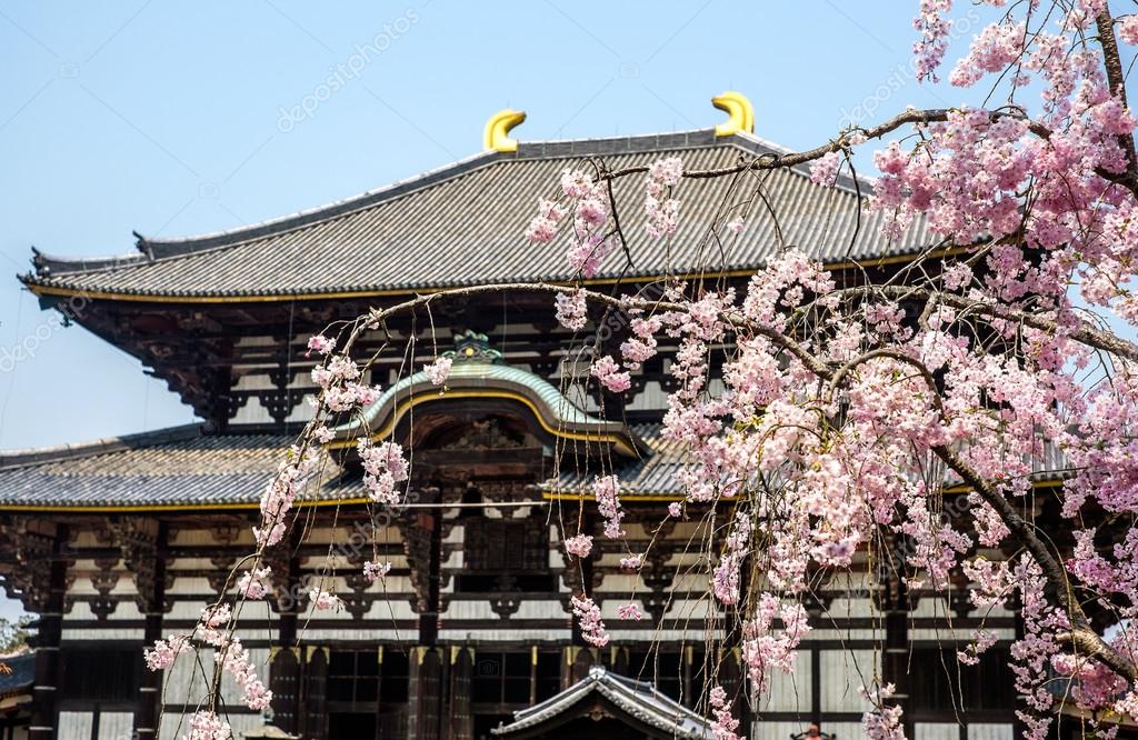 Nara, Japan Stock Photo by ©sabinoparente 86500180