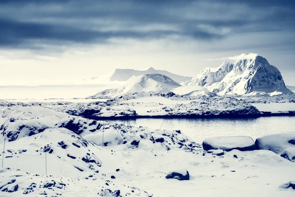 South pole Stock Photos, Royalty Free South pole Images | Depositphotos