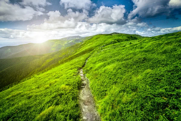 Nature reservation Stock Photos, Royalty Free Nature reservation Images ...