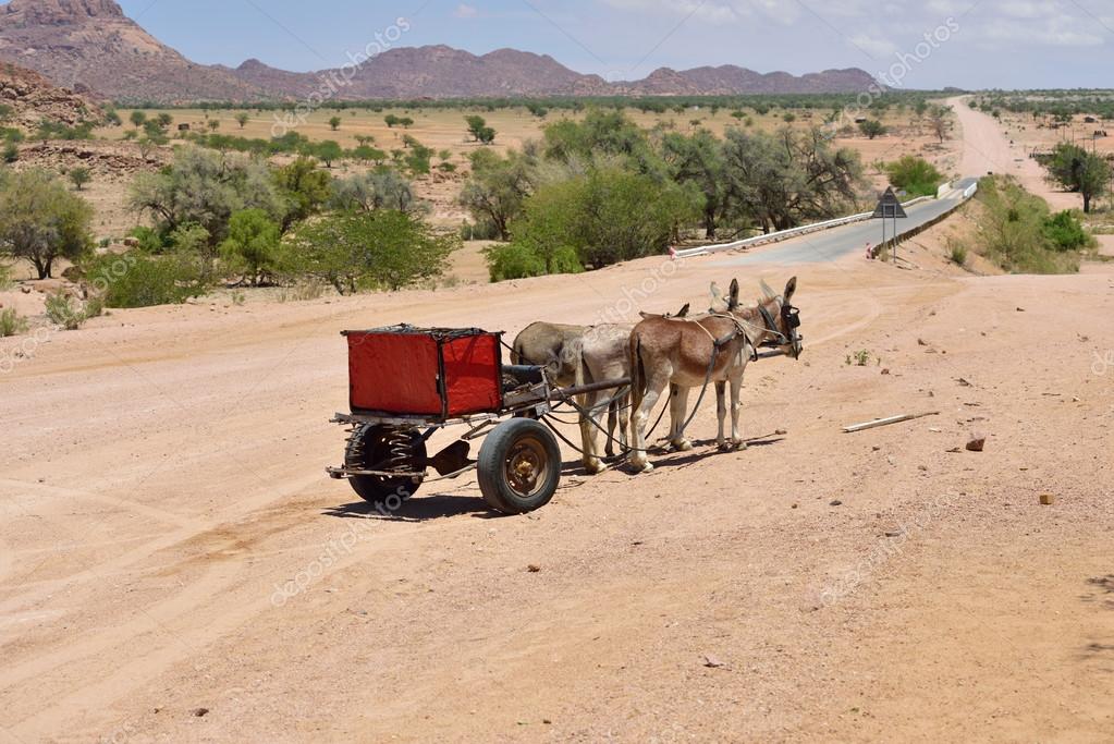 Red carriage and donkey on the road. Namibia, Africa Stock Photo by ...