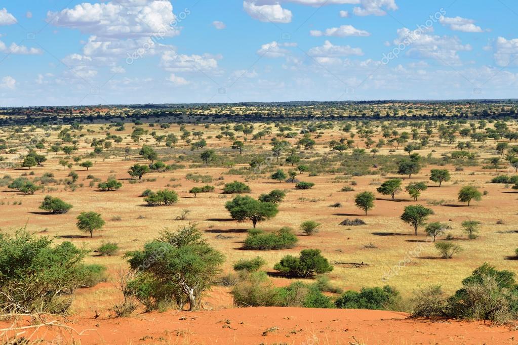 Kalahari Desert Africa