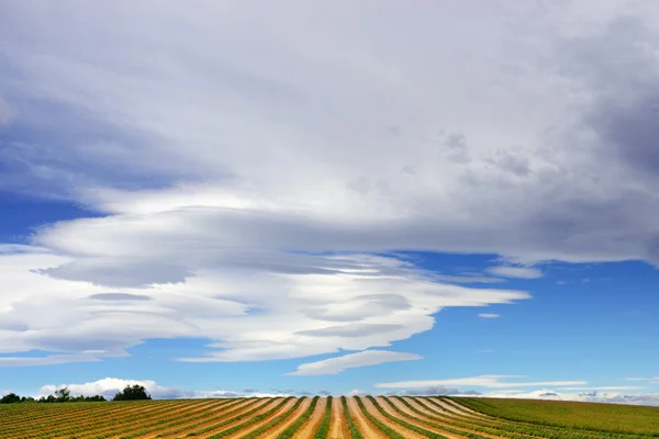 Mistral Stock Photos, Royalty Free Mistral Images | Depositphotos®