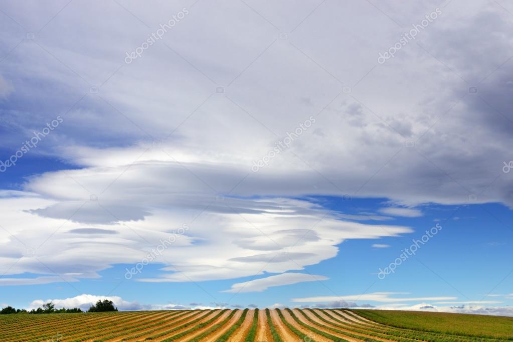 Mistral Stock Photo by ©znm666 58521137