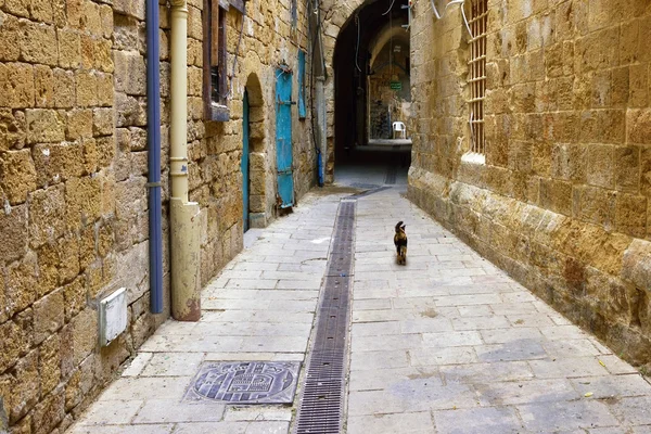 ᐈ Acre israel stock pictures, Royalty Free akko israel photos ...