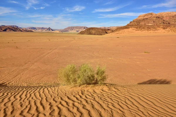 Imagens de Rum desert sem royalties | Depositphotos