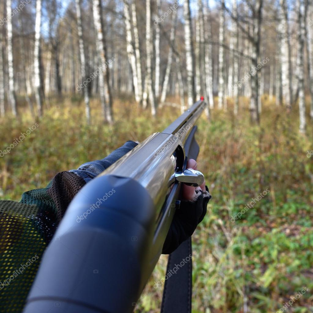 Chasse en forêt d'automne image libre de droit par znm666 © #87240322