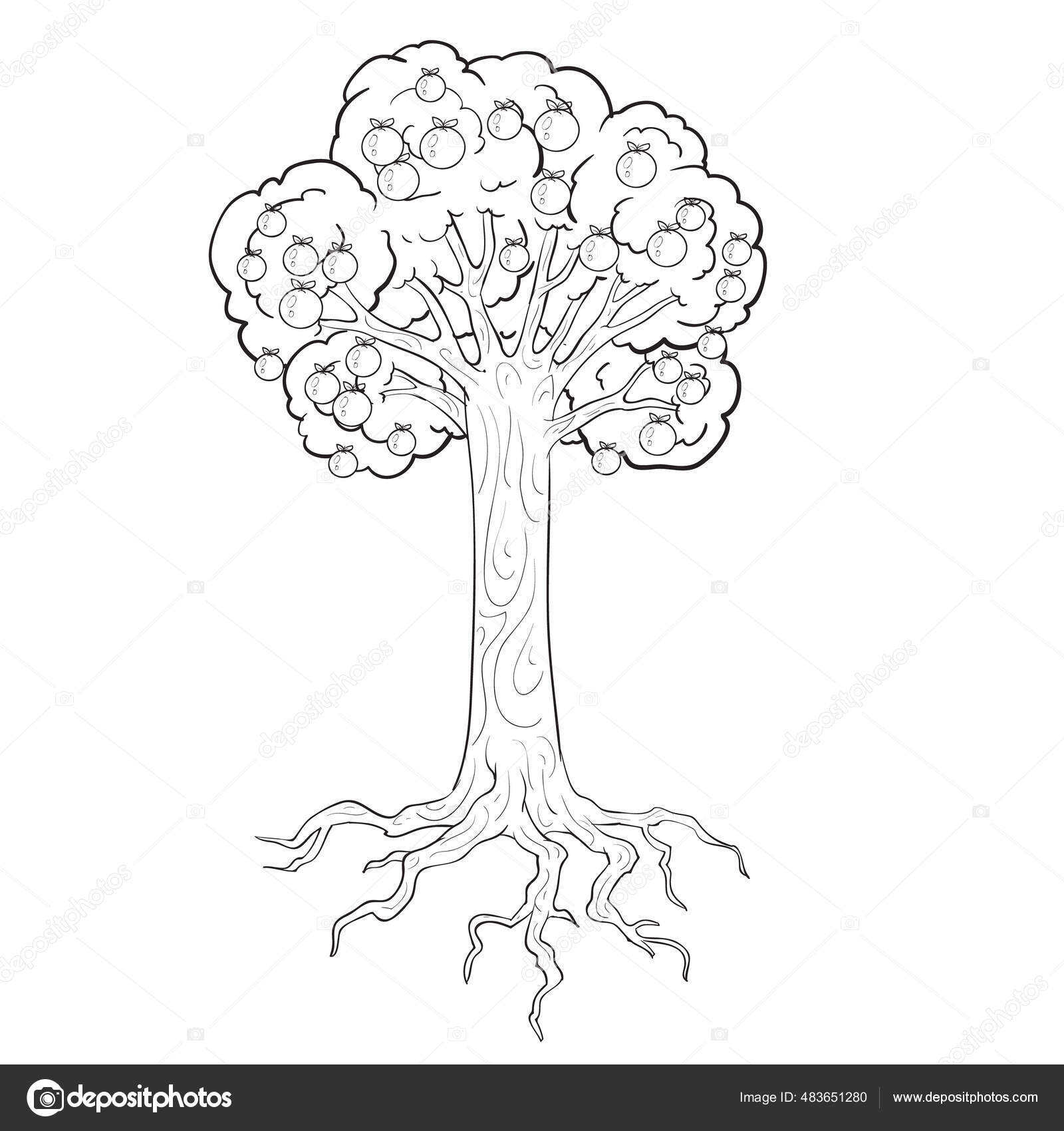 árbol Con Raíces En Blanco Y Negro Descarga Dibujo En Blanco Y Negro