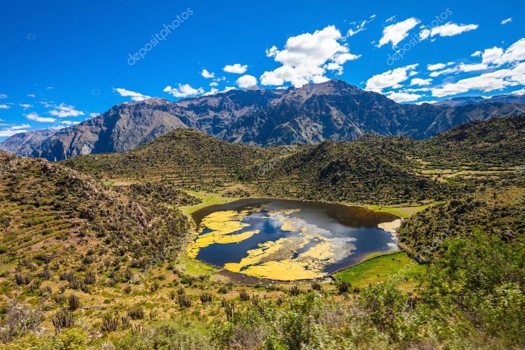 Colca Valley, Peru — Stock Photo © saiko3p #102313442