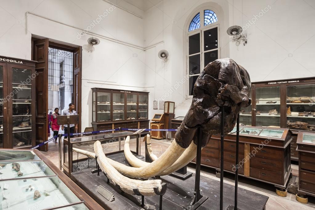 Indian Museum, Kolkata – Stock Editorial Photo © saiko3p #102373938