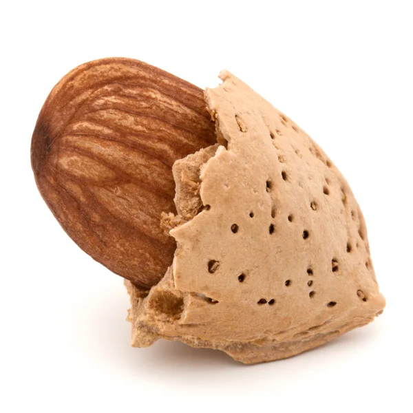 Almond nuts in shell and shelled Stock Photo by ©natika 129813984