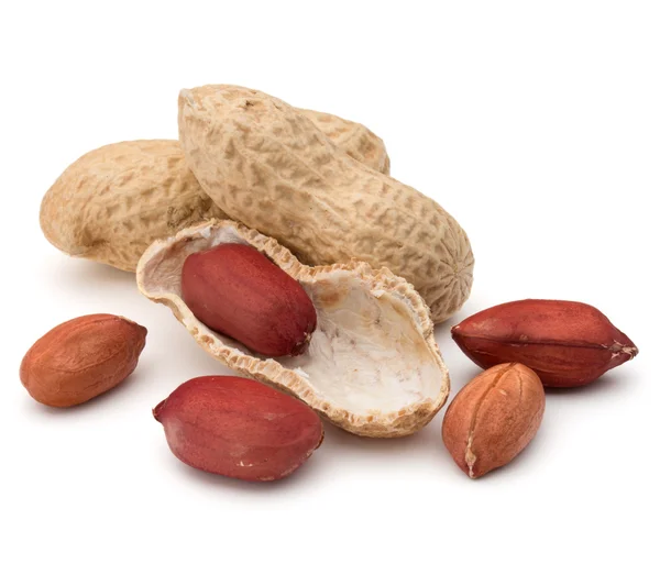 Groundnut pod Pictures, Groundnut pod Stock Photos & Images ...