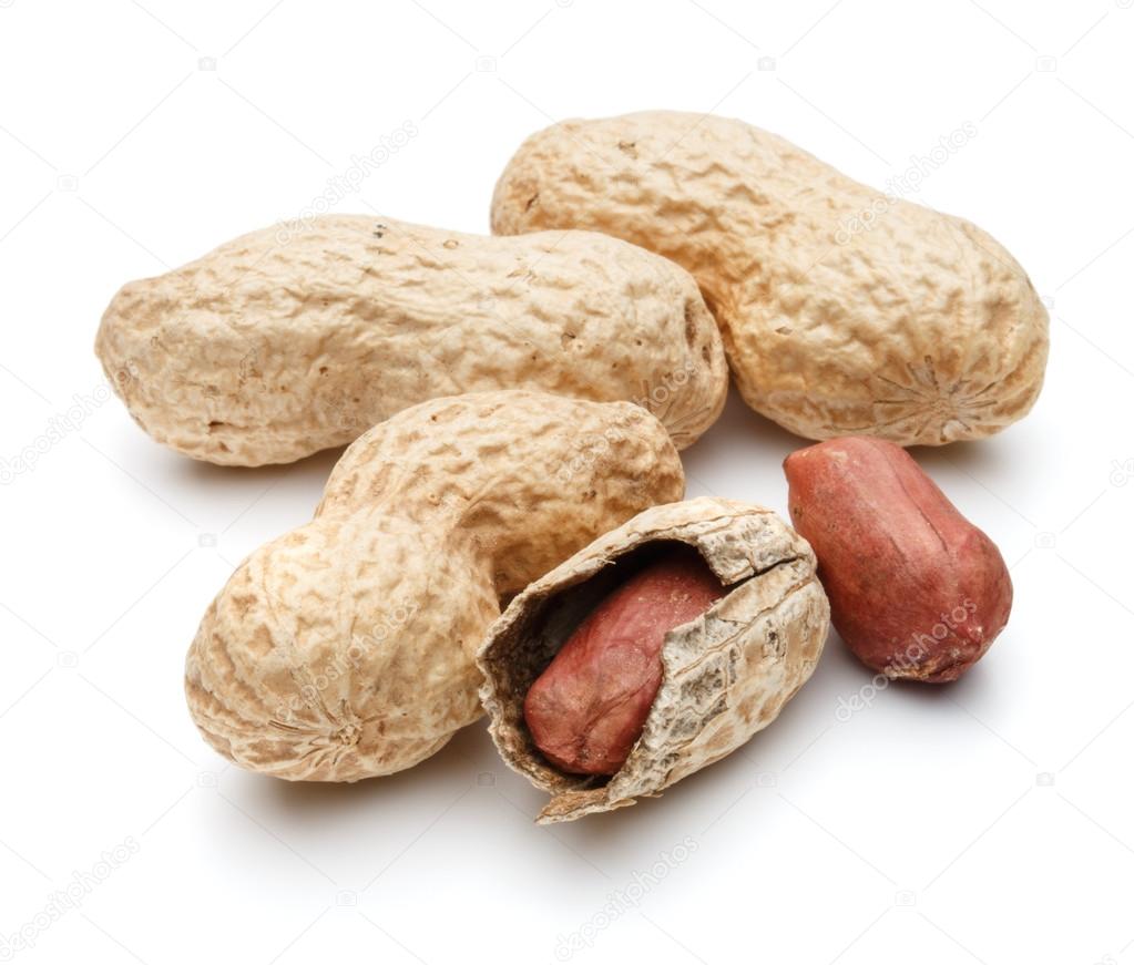 Groundnut pods and nuts Stock Photo by ©natika 108738306