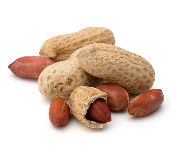 Groundnut pods and nuts Stock Photo by ©natika 108738306