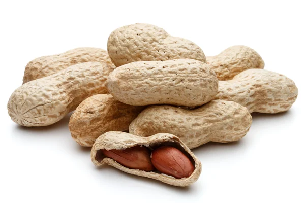 Groundnut pods and nuts Stock Photo by ©natika 108738306