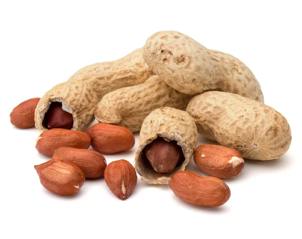 Groundnut pods Stock Photos, Royalty Free Groundnut pods Images ...