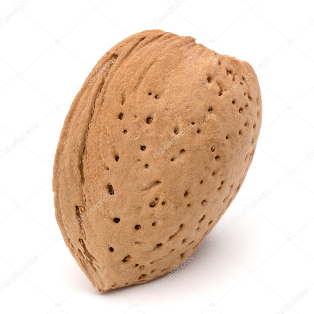 Almond Nut Shell