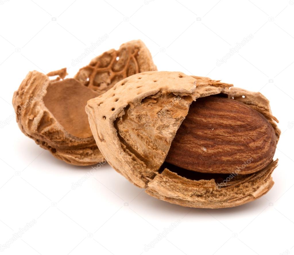 Almond Nut Shell