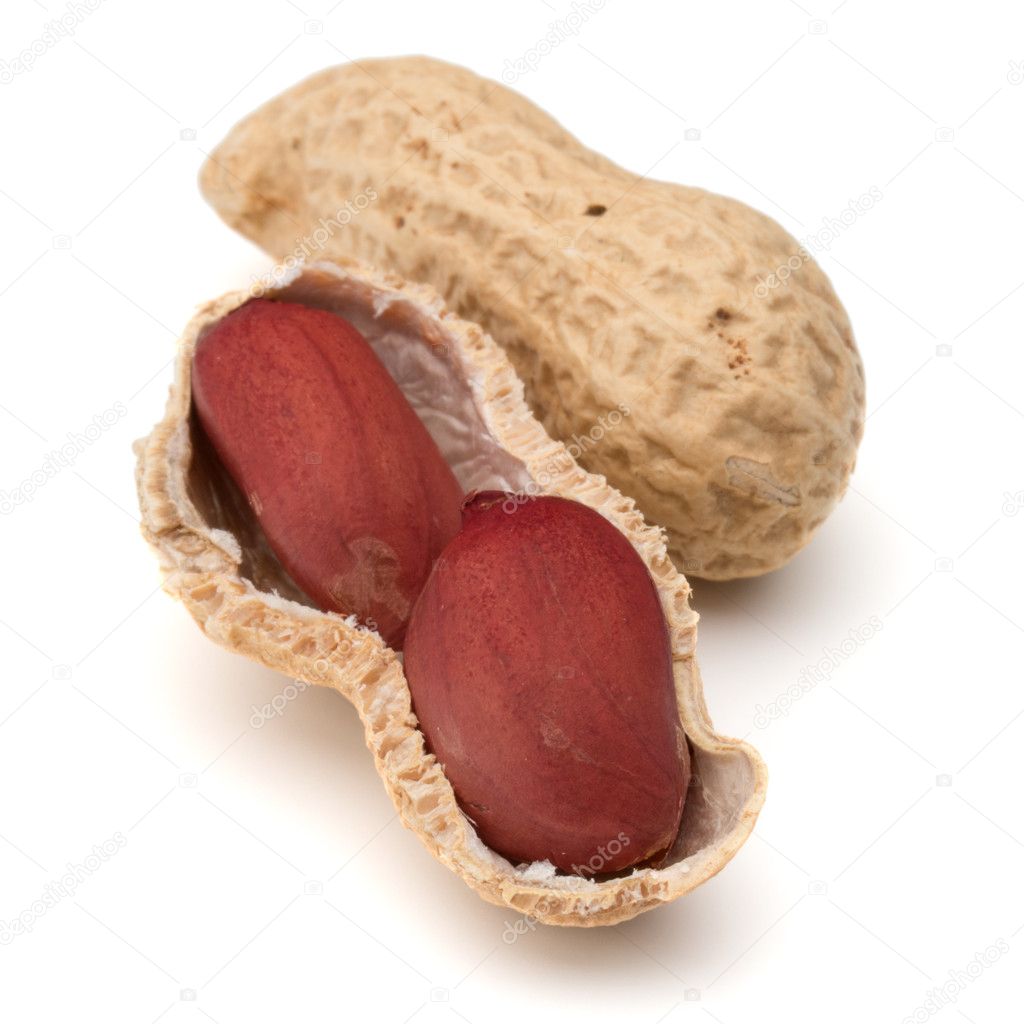 Groundnut pods and nuts Stock Photo by ©natika 108742662