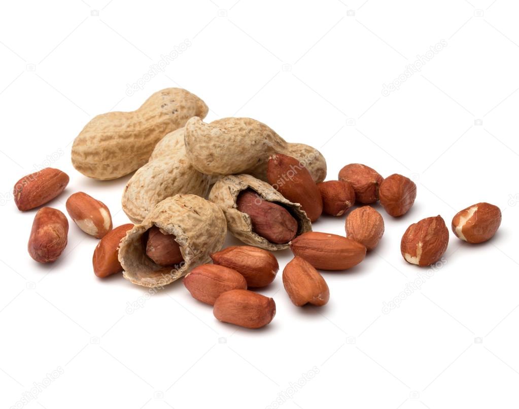 Groundnut pods and nuts Stock Photo by ©natika 108742692